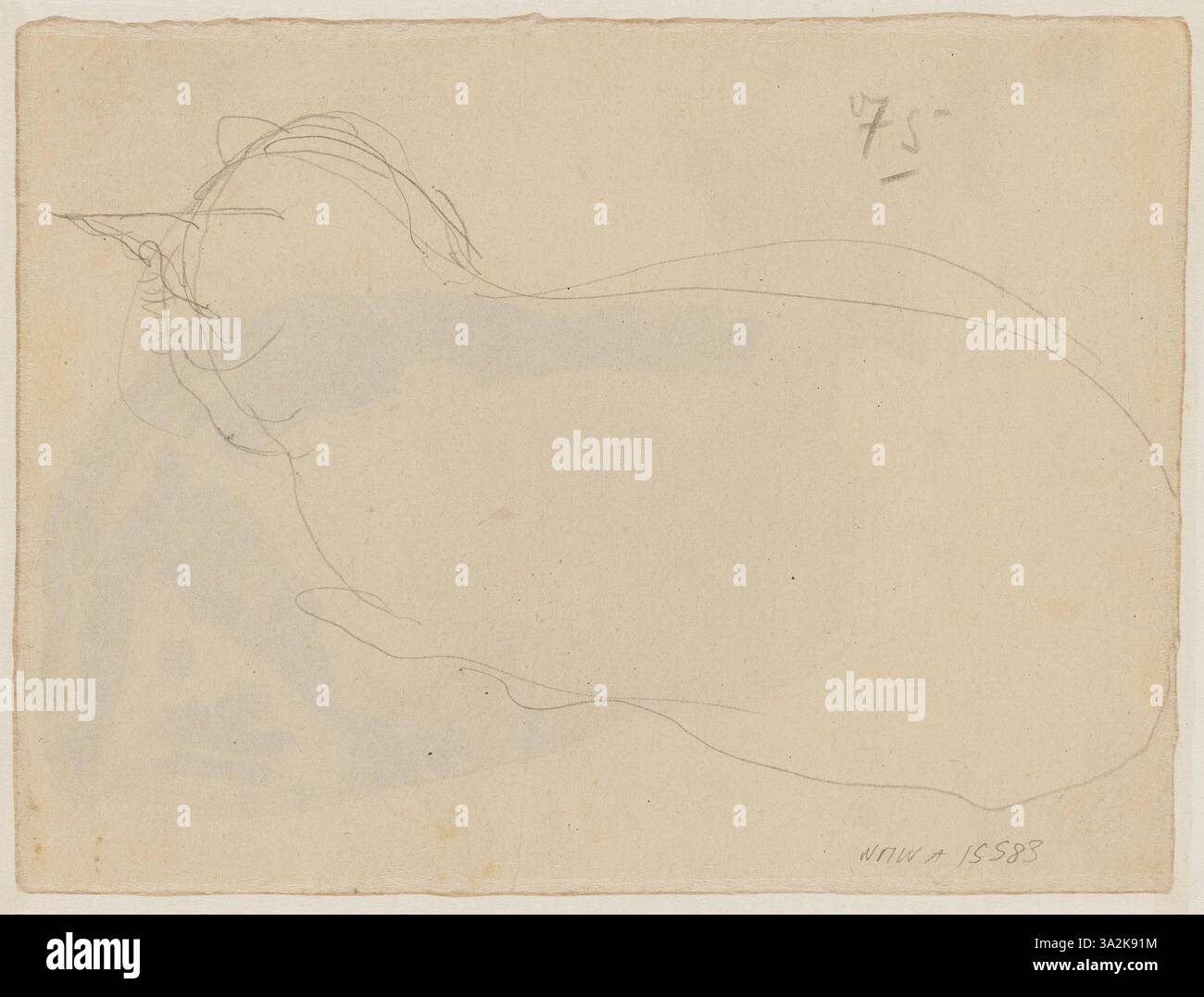 This variation of Gwen John’s cat studies series explores different ...