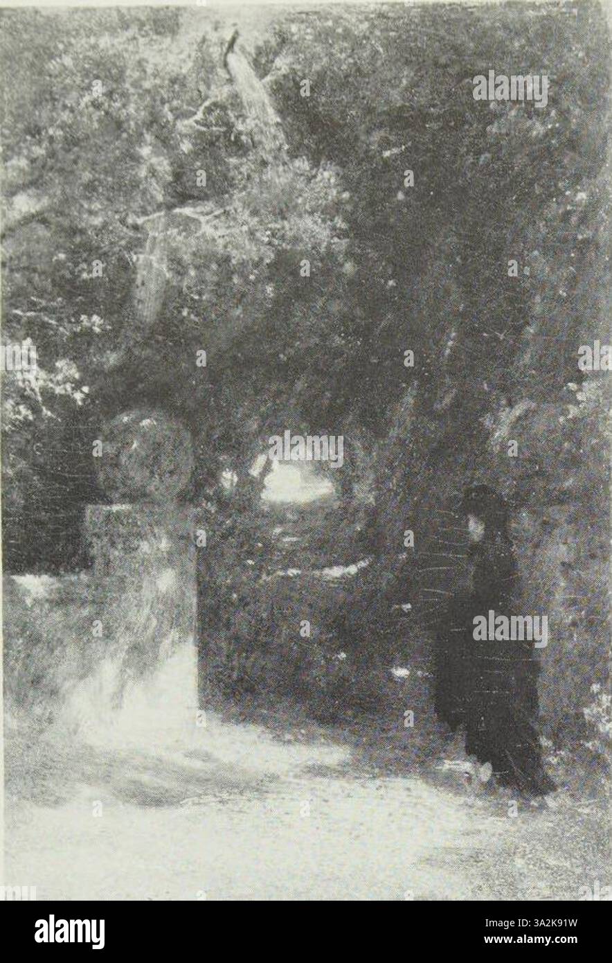 Another version of Arnold Böcklin's 'Andree,' reflecting his ...