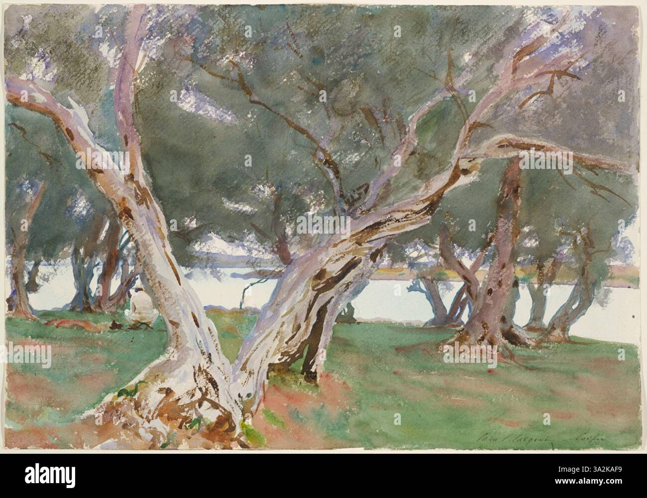 Olive Trees, Corfu, painted by John Singer Sargent in 1909, is a ...