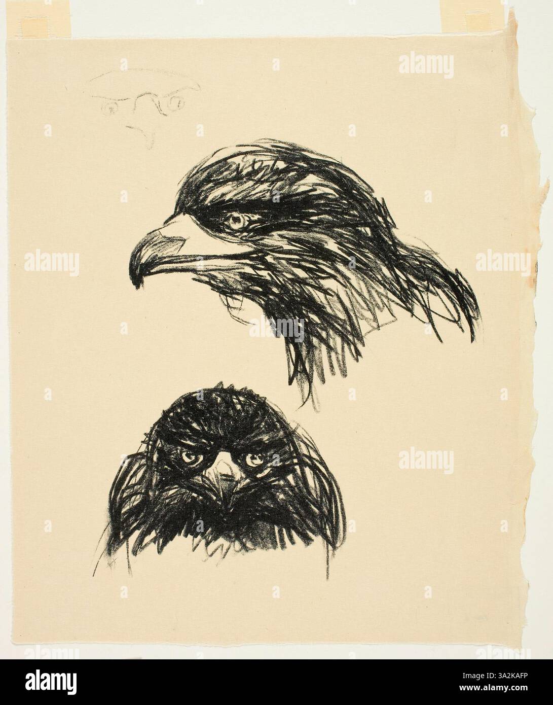 Stylized forms convey hi-res stock photography and images - Alamy