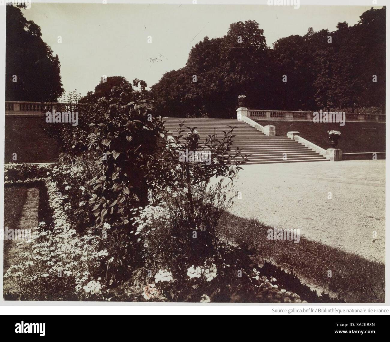 This image by Eugène Atget shows St. Cloud park, capturing its lush greenery and tranquil ...