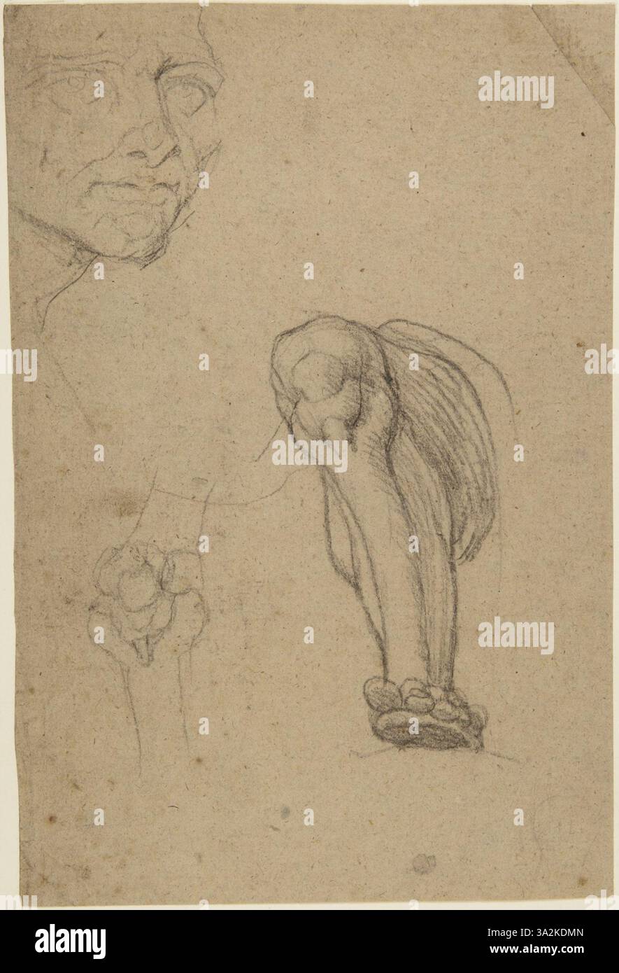 Fuseli’s study of the lower leg and knee bone includes a head sketch in ...
