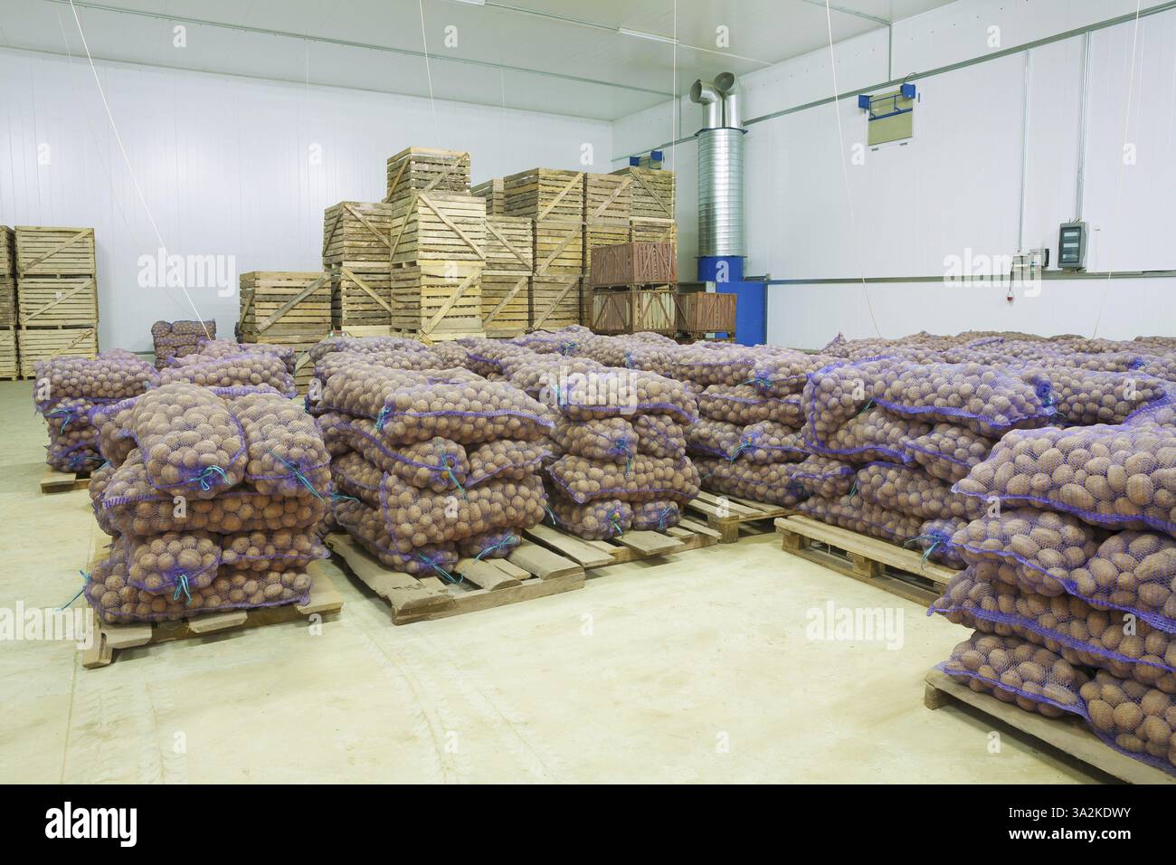 Potato storage bag hi-res stock photography and images - Alamy