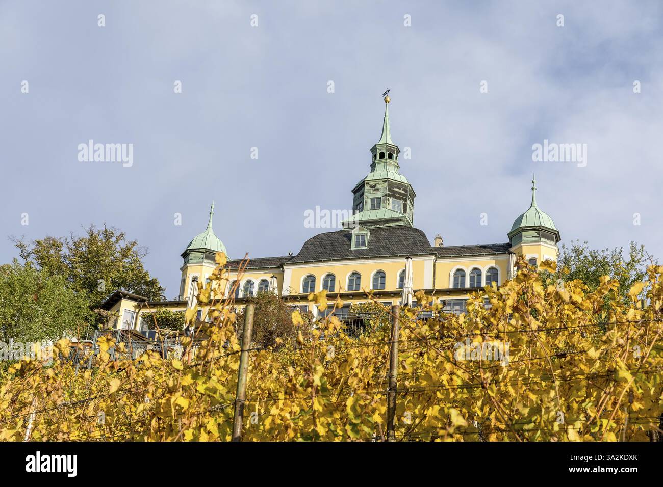 Restaurant Spitzhaus in the autumnal vineyards of Oberloessnitz ...