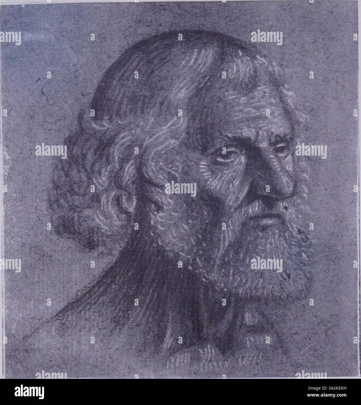 This study by Carpaccio explores detailed anatomical proportions and ...