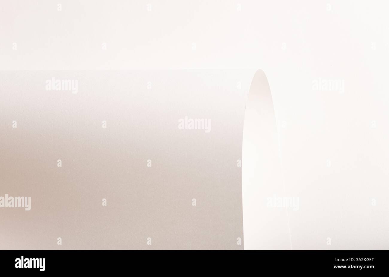 White and beige paper background with a smooth, soft texture. Warm off ...