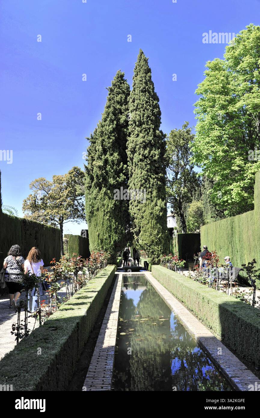 Alhambra, Granada, Andalusia, Spain, Europe, Sunny park with tall ...