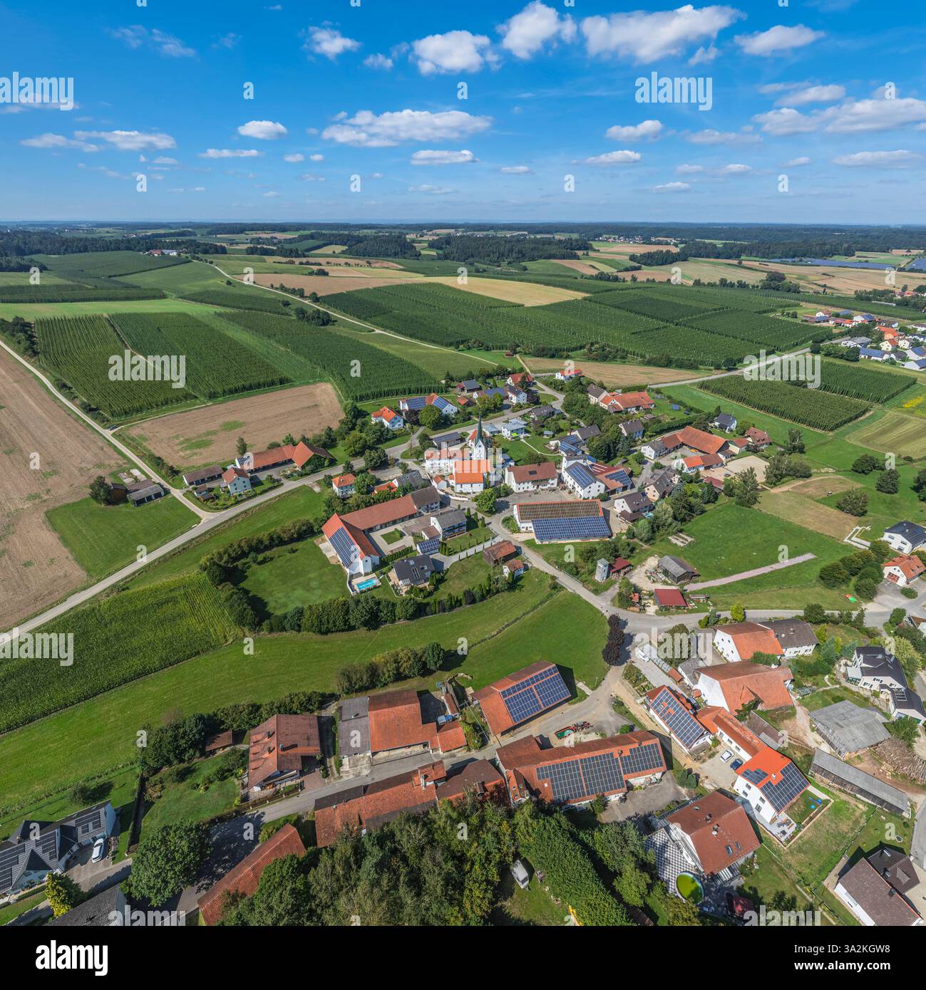 Landscape with hop fields shortly before the harvest in the Hallertau ...