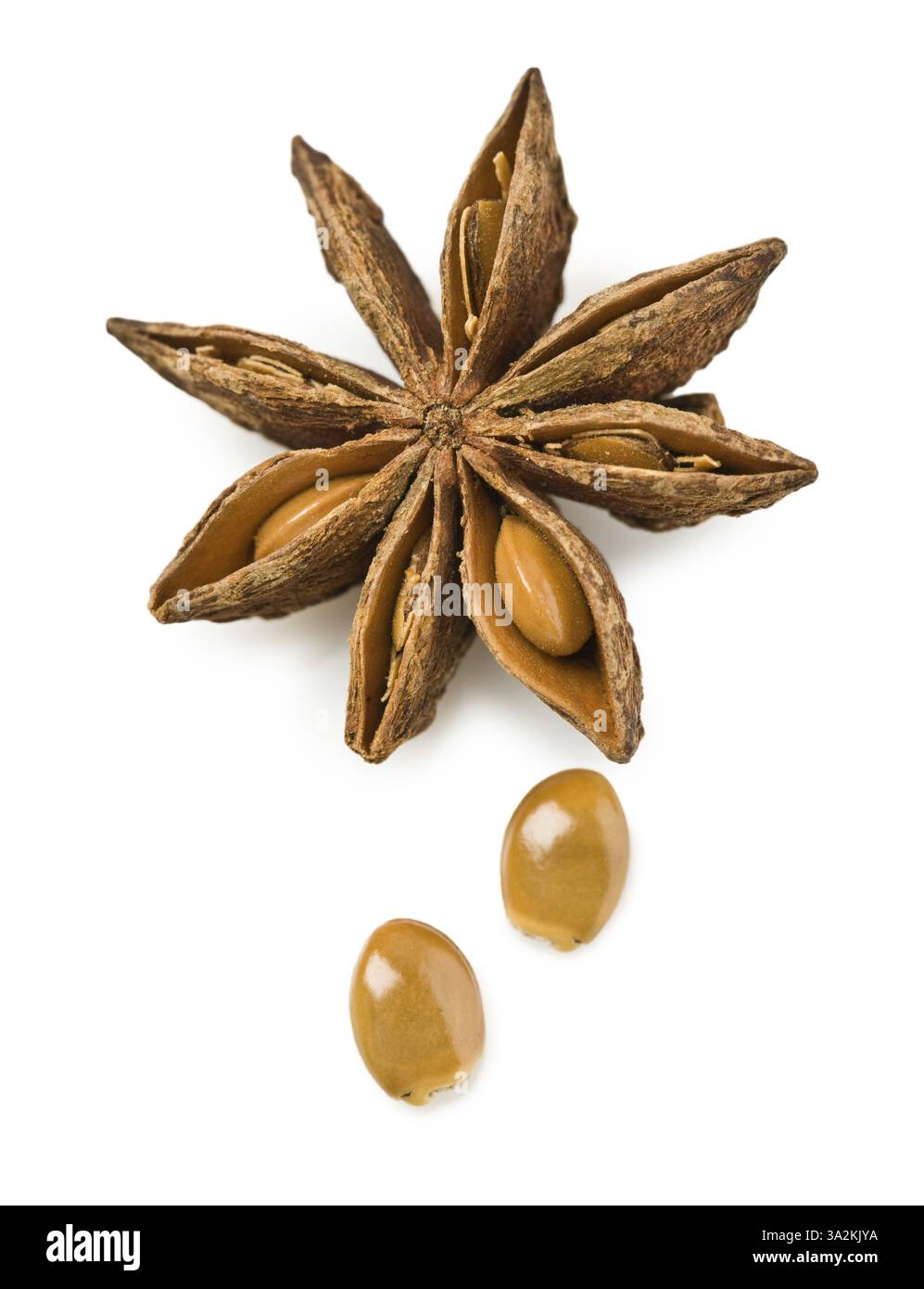 Single badian star with grains Stock Photo - Alamy