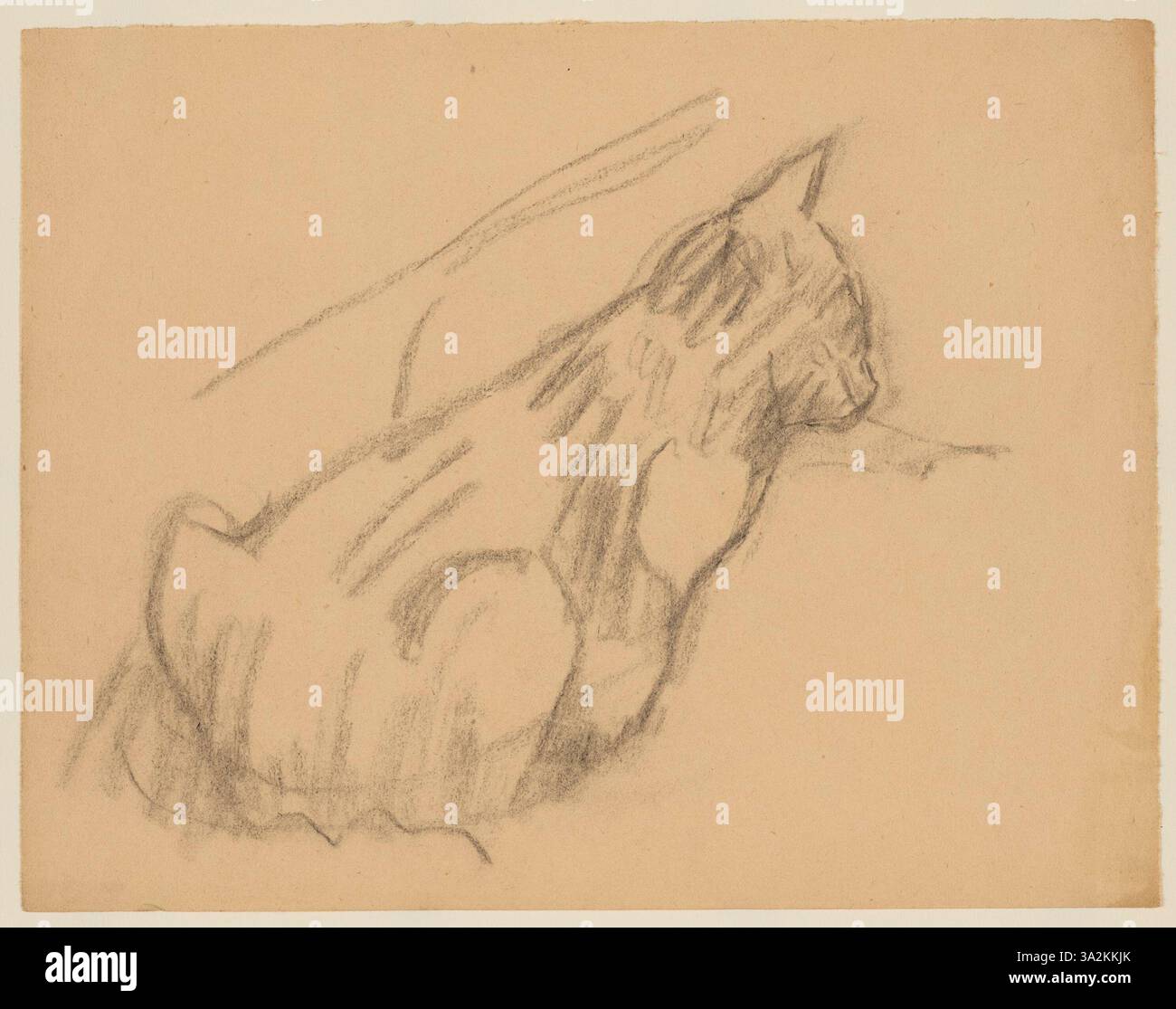 This study features a cat in a serene seated pose. Gwen John uses light ...