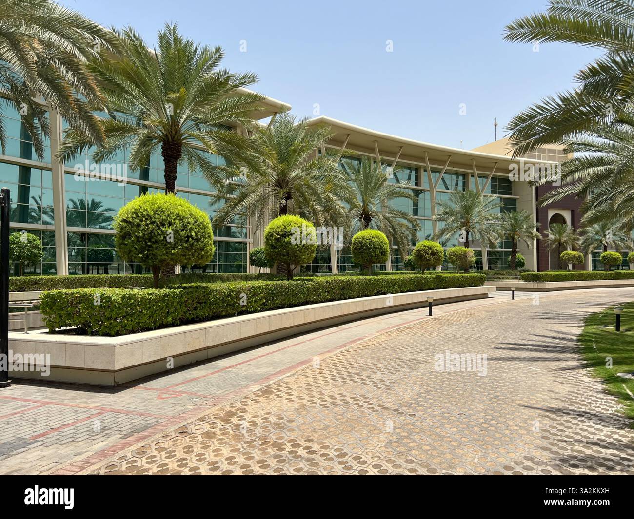 Lush Greenery and Modern Architecture at KAFD Stock Photo - Alamy