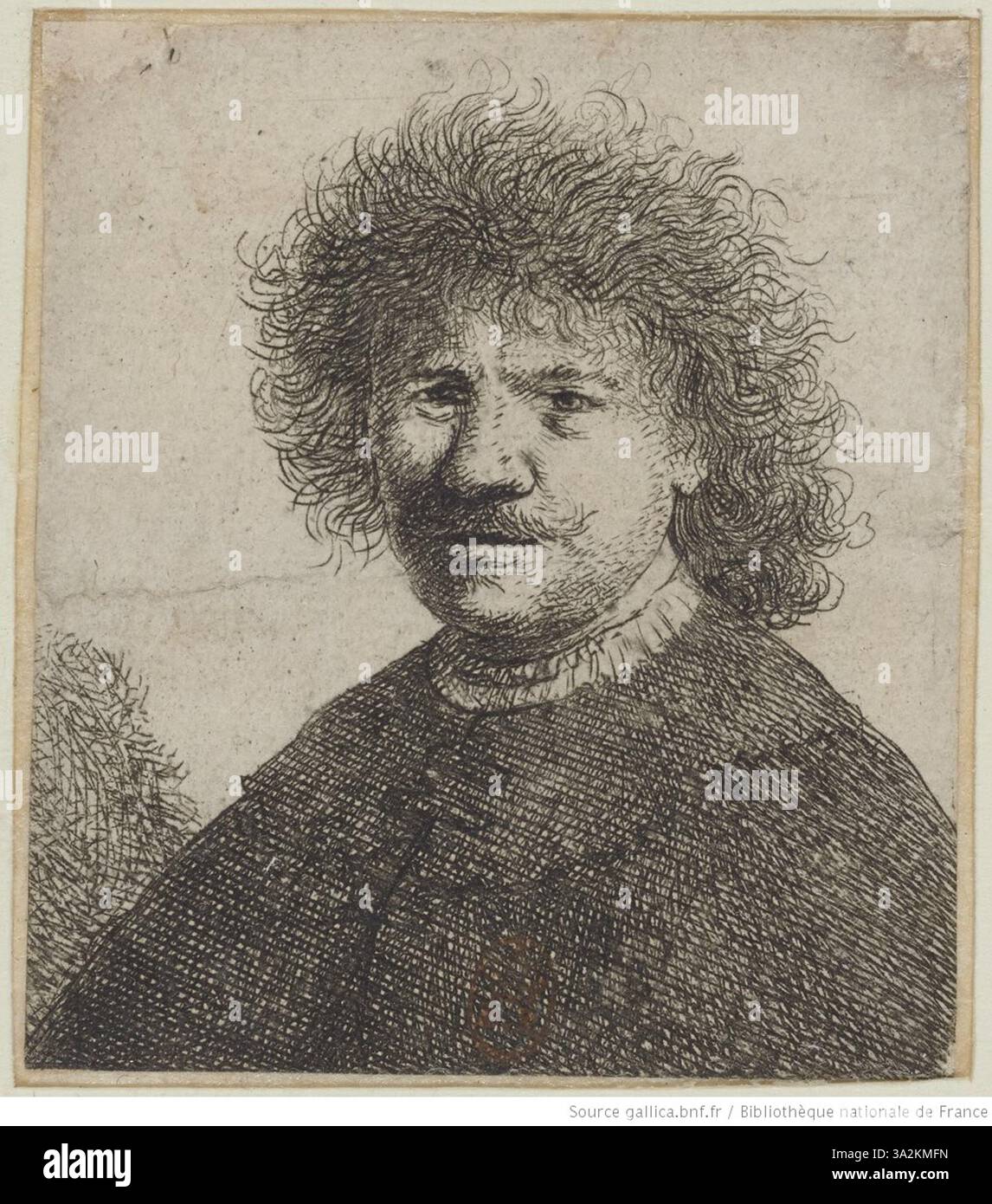 Rembrandt's use of light in this portrait brings attention to the ...