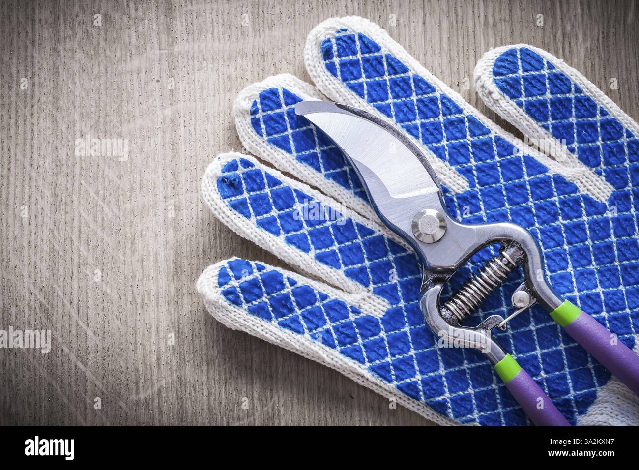 Steel garden pruner with rubber safety gloves on wooden surface ...