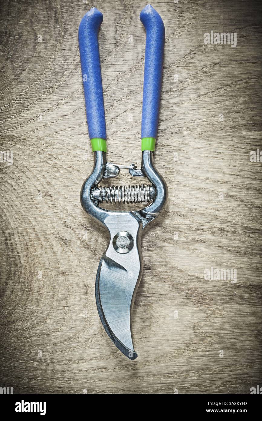 Structured pruning hi-res stock photography and images - Alamy