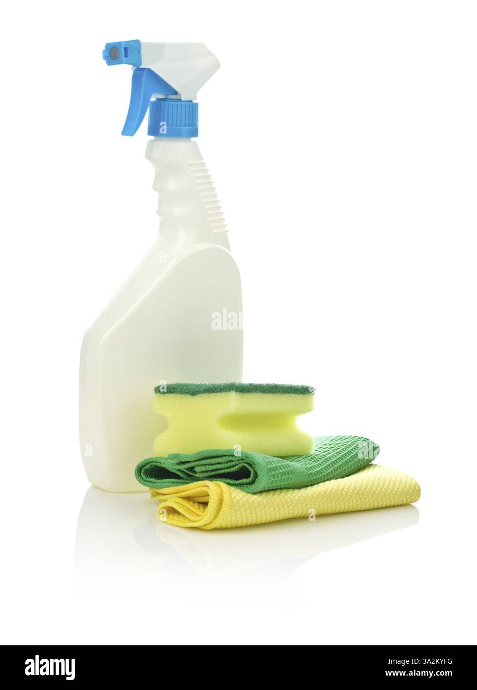 Sponge porifera Cut Out Stock Images & Pictures - Alamy