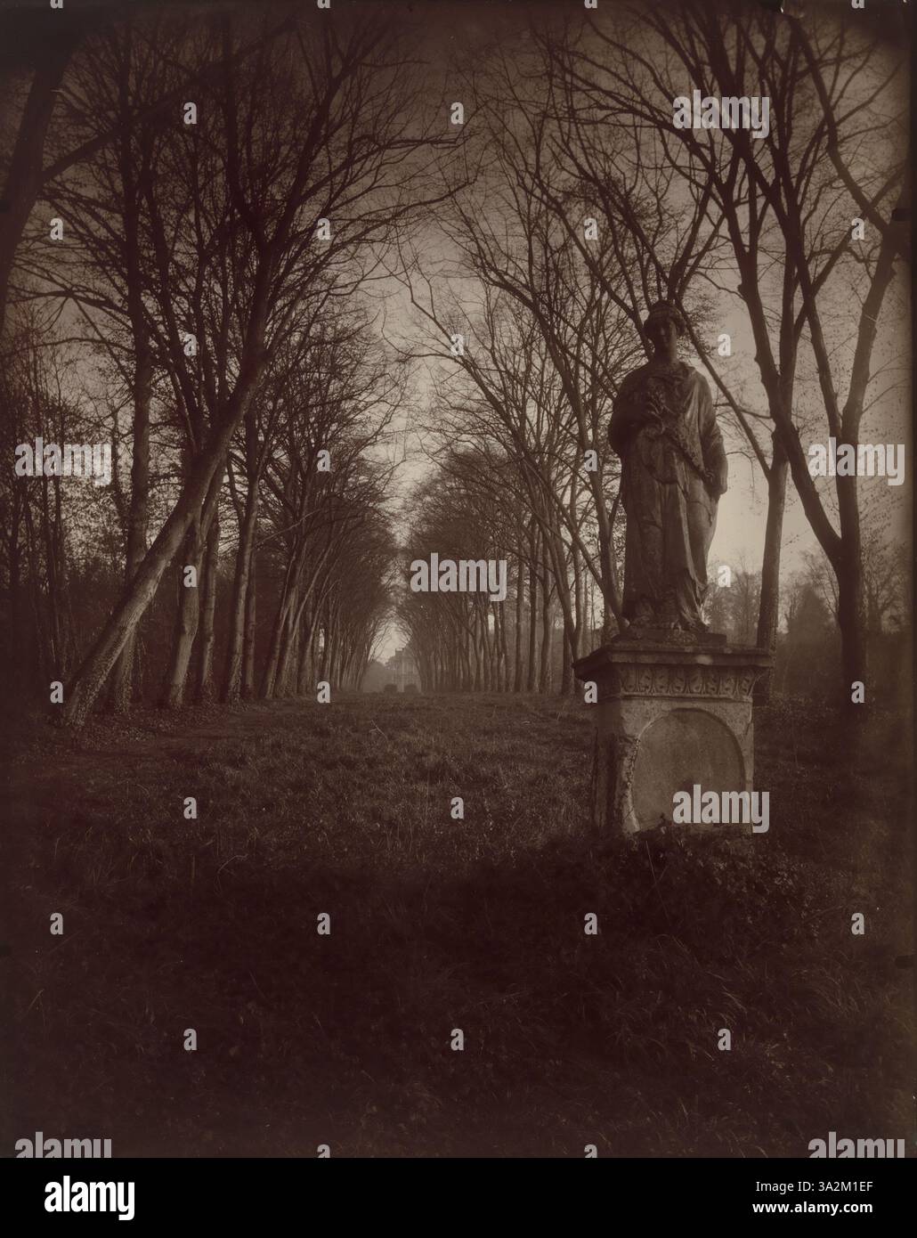 Eugène Atget's 1925 photograph of Parc de Sceaux presents a serene view ...
