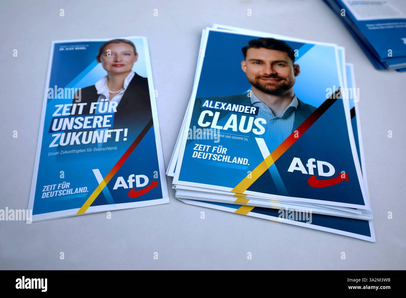Flyer mit AfD-Politikerin Alice Weidel - ZEIT FÜR UNSERE ZUKUNFT ...