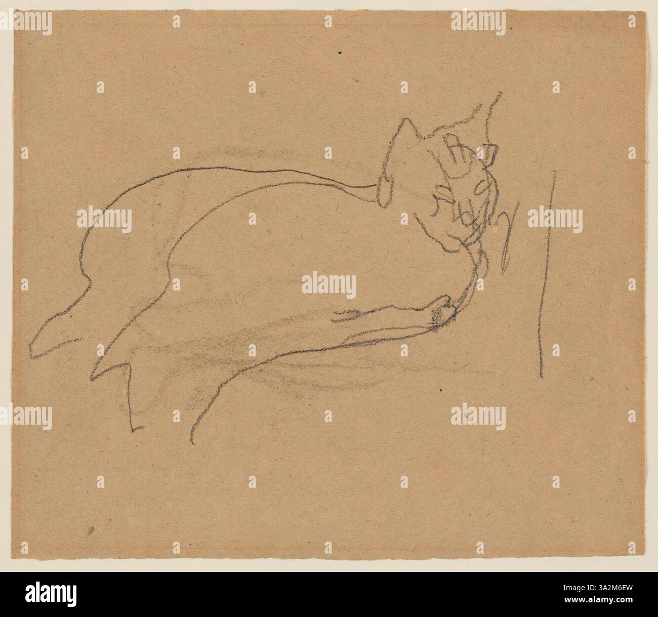 This study of a cat by Gwen John captures the feline in a detailed ...