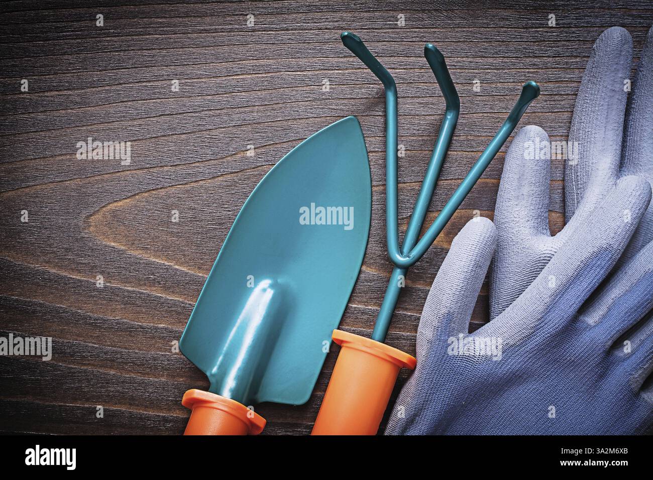 Rubber safety gloves hand spade and reel rake on vintage hardwood ...