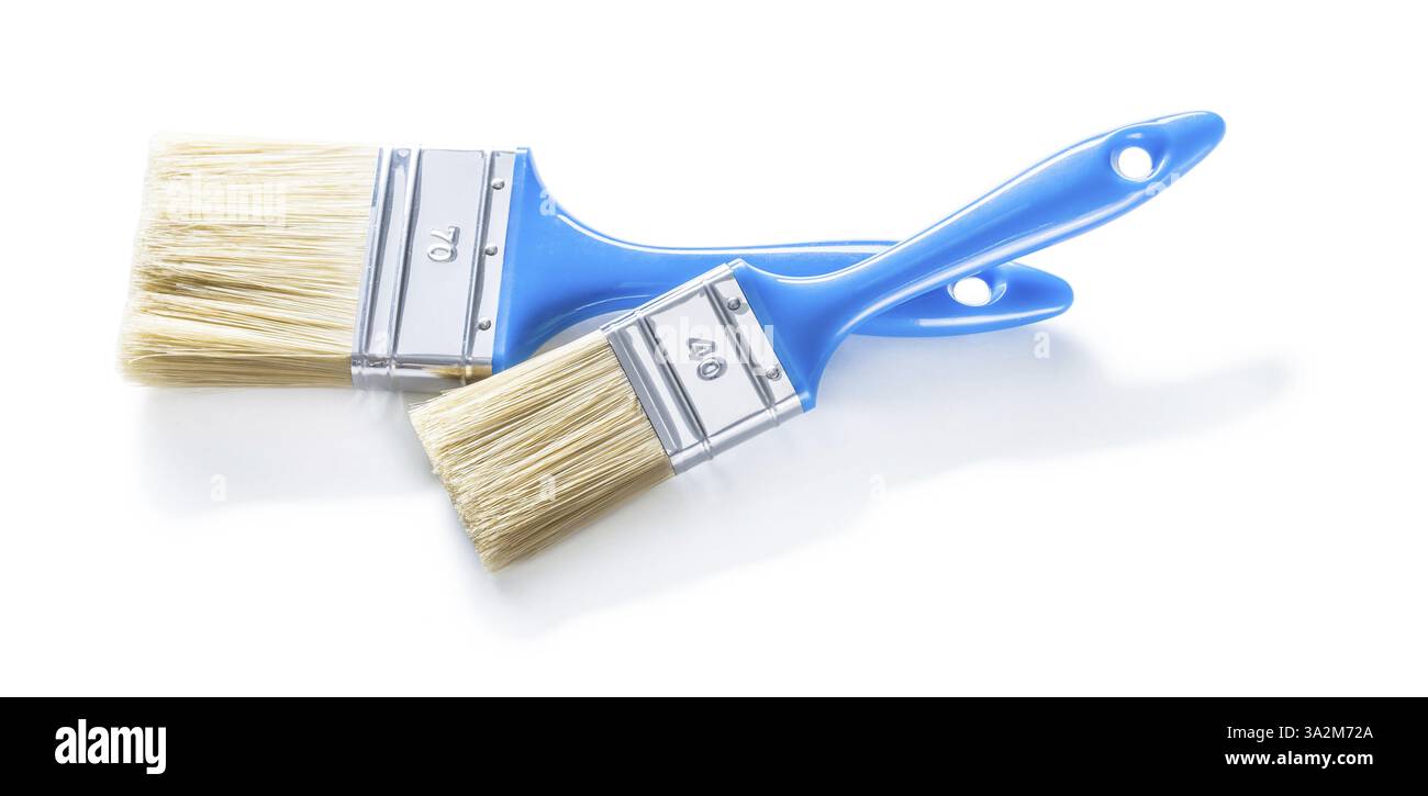 Two blue paint brushes isolated on white background Stock Photo - Alamy