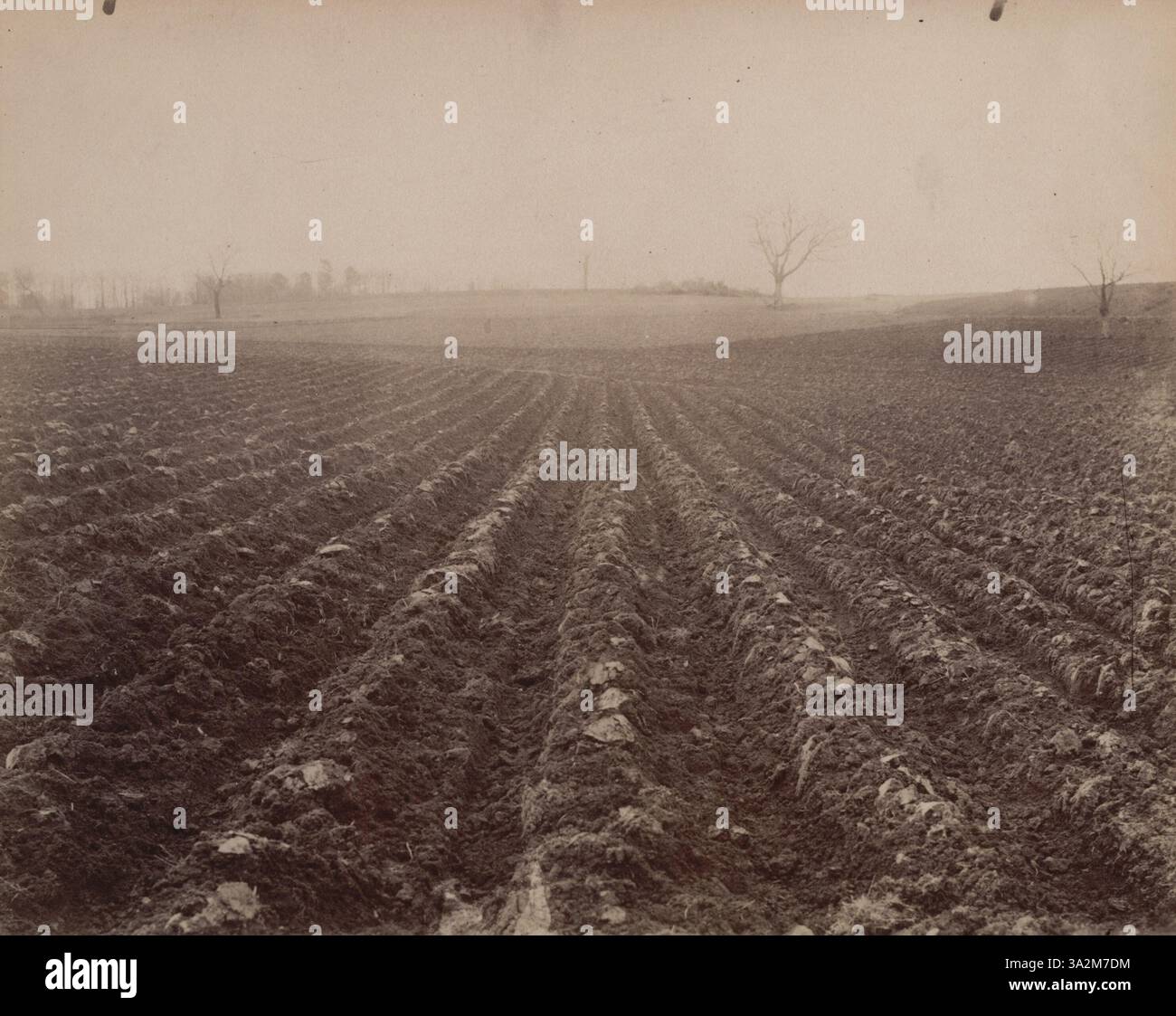 This pre-1900 photograph depicts a rural landscape in Limoges ...