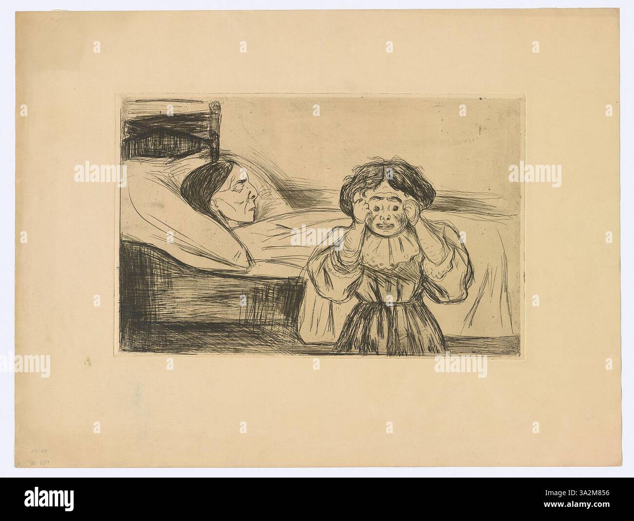 Stark palette enhances hi-res stock photography and images - Alamy