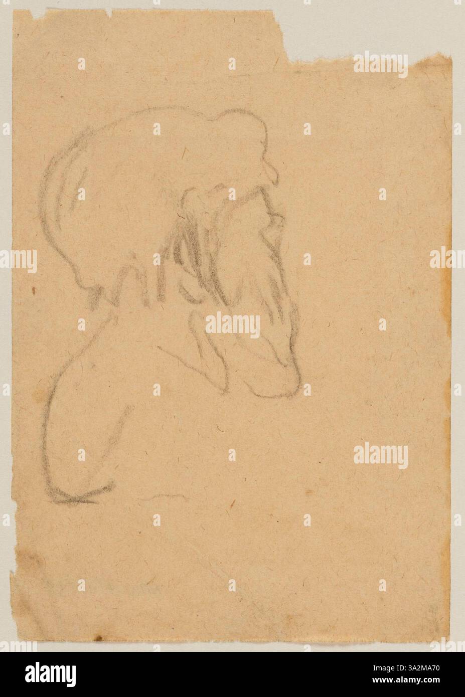 In this study, Gwen John focuses on the right side of a man’s head ...