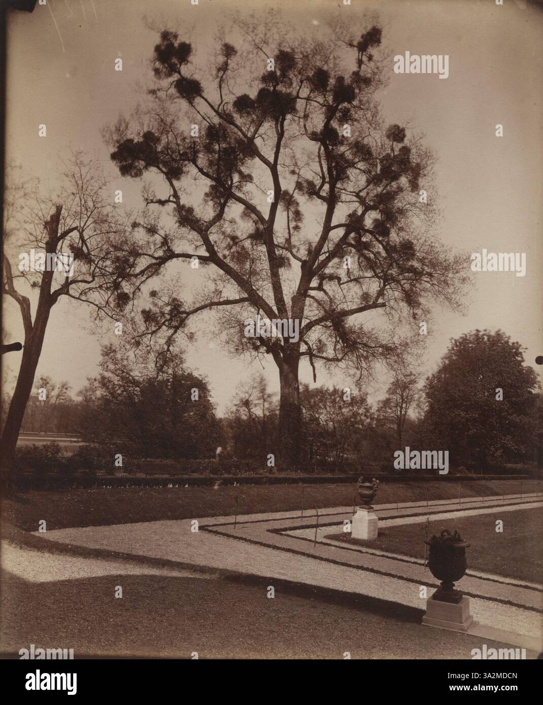 Eugene atget hi-res stock photography and images - Alamy