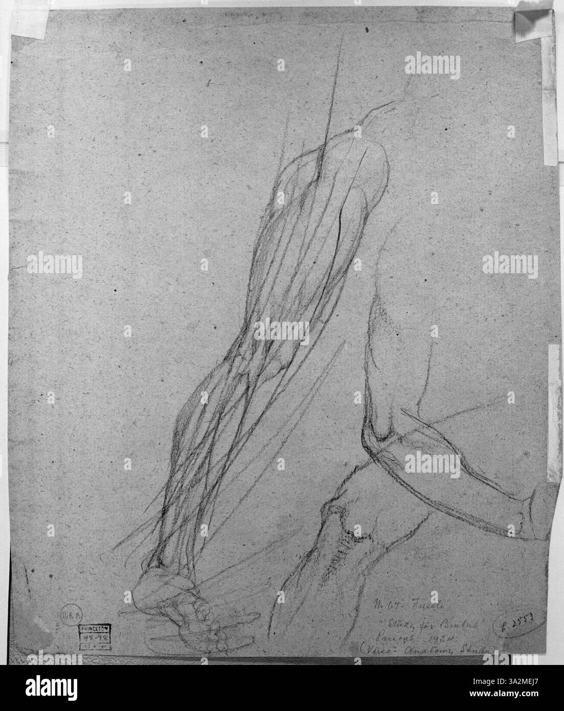 This study by Henry Fuseli captures the head of a man, potentially ...