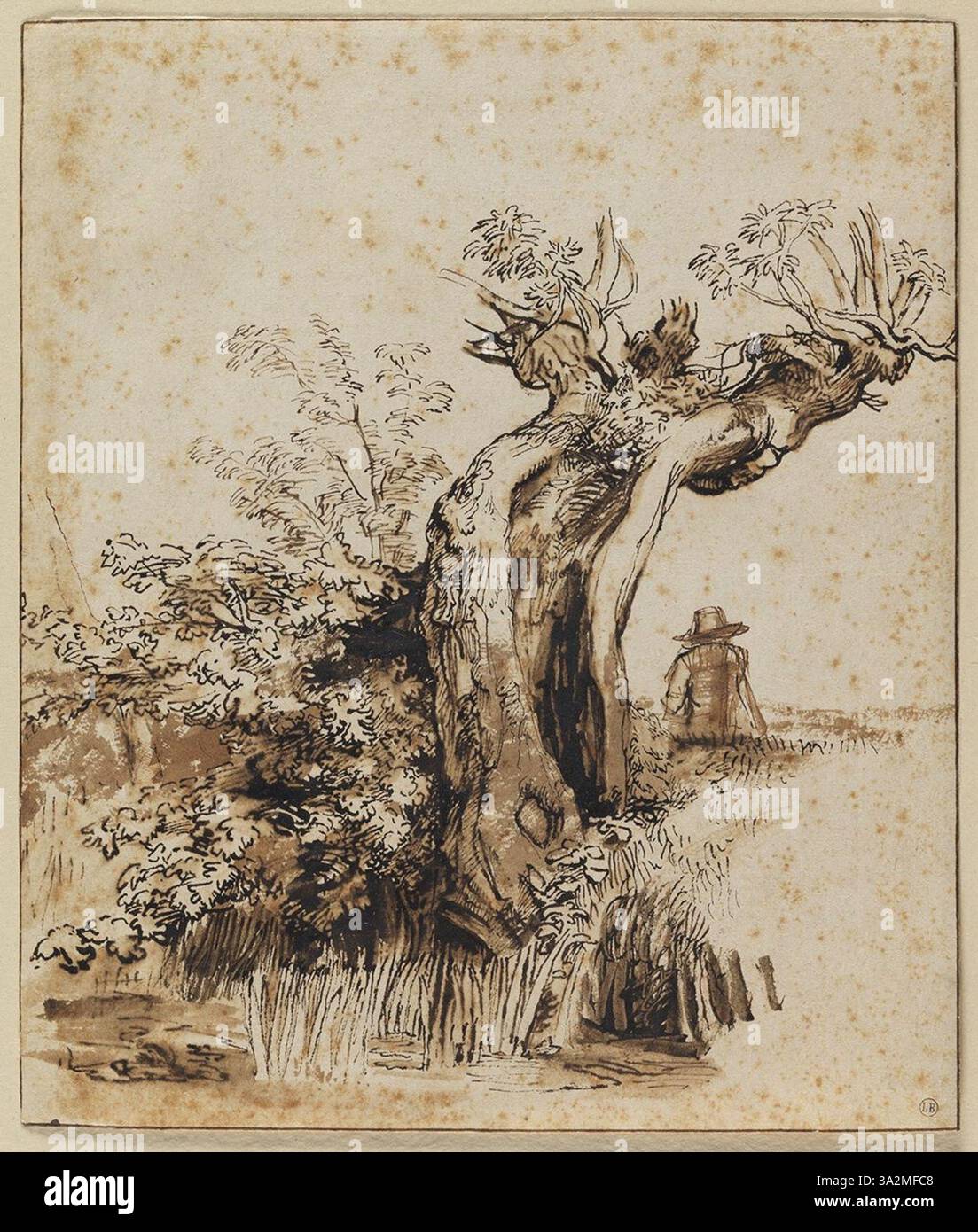 This etching by Rembrandt captures a detailed study of a tree ...