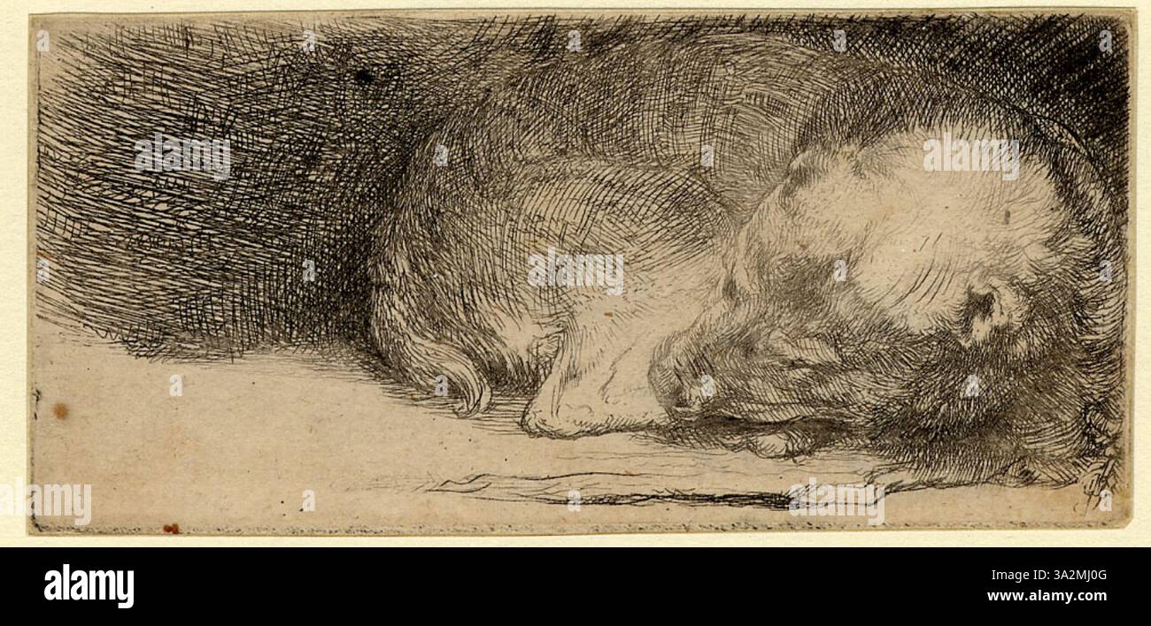 This etching from 1843 reveals Rembrandt’s exceptional technique in ...