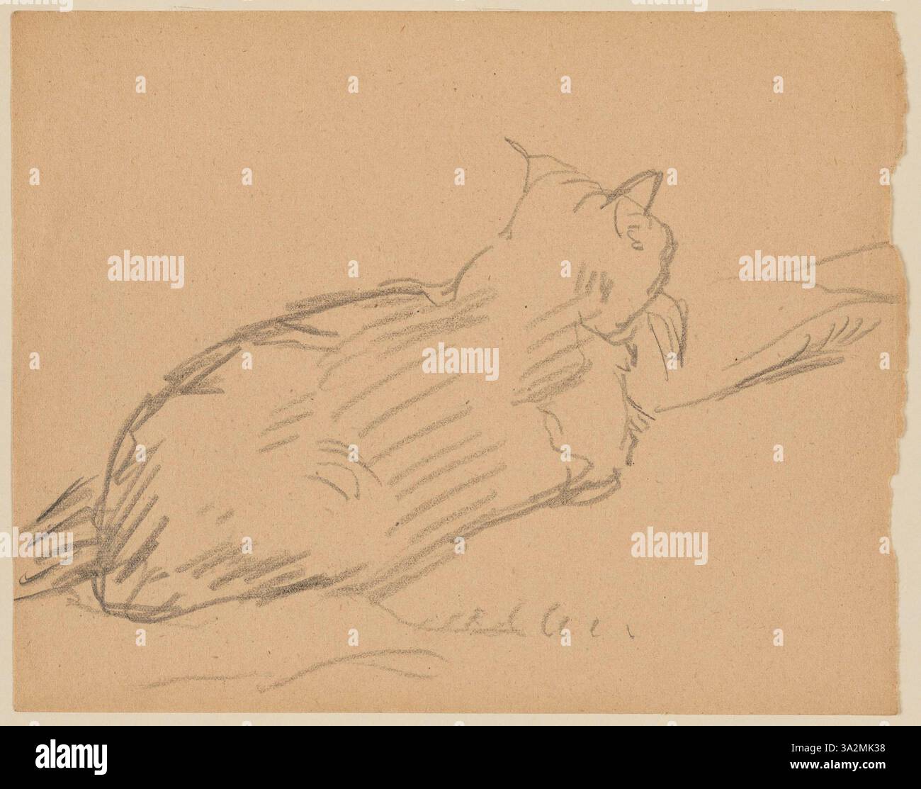 In this study, Gwen John highlights the cat’s subtle movements and ...