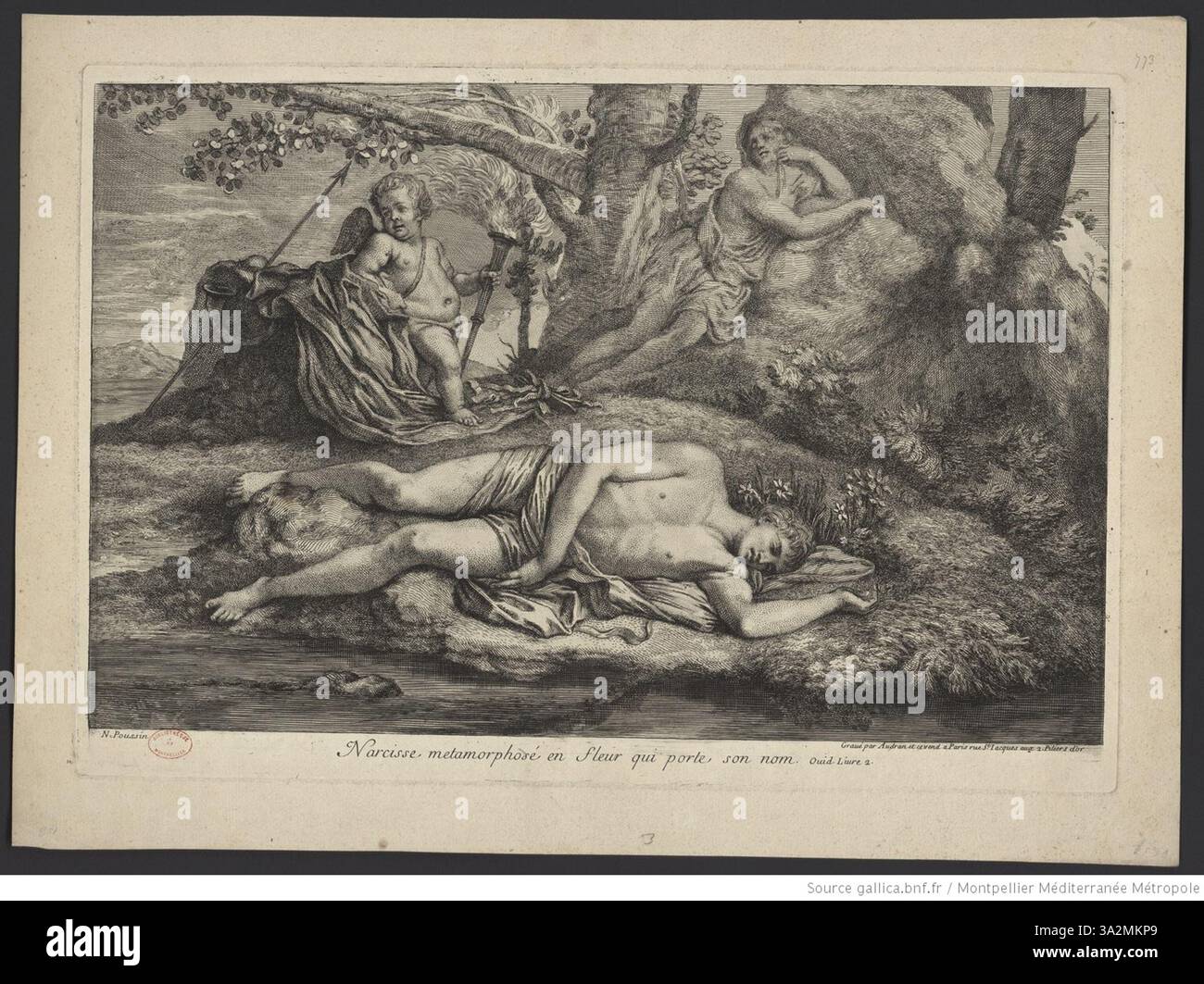 Gérard Audran’s engraving of Narcissus transformed into a flower, based ...