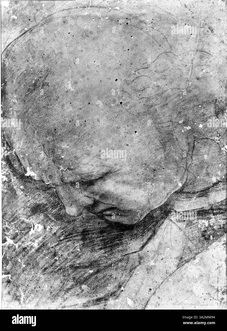 A presumed portrait of the architect Donato Bramante attributed to ...