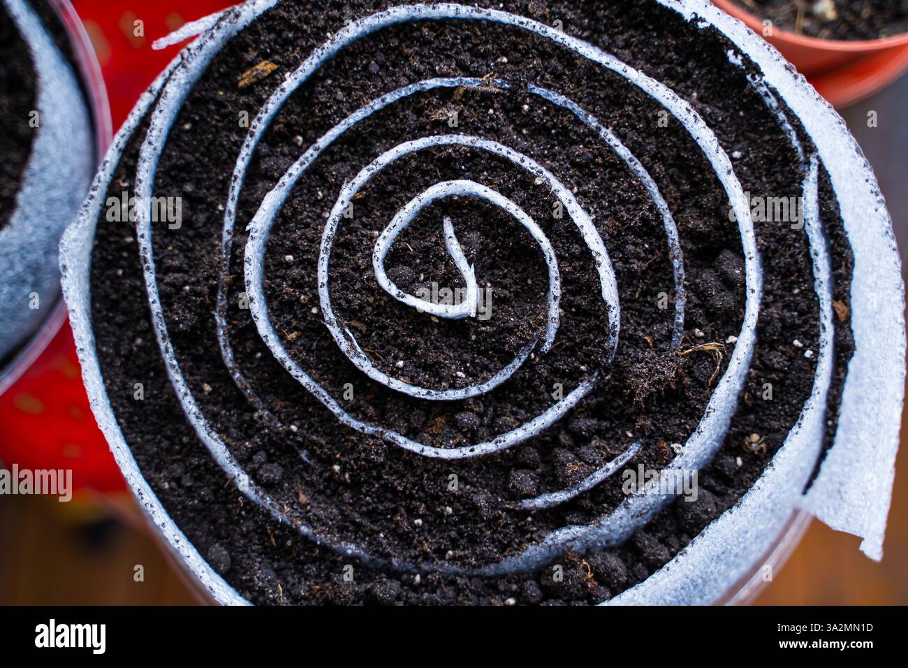 Preparation for growing seedlings. Roll of foam material for planting ...