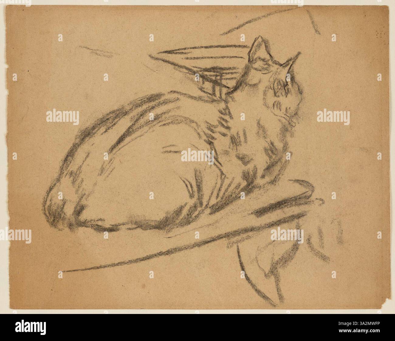 In this work, Gwen John depicts a cat in a seated position ...