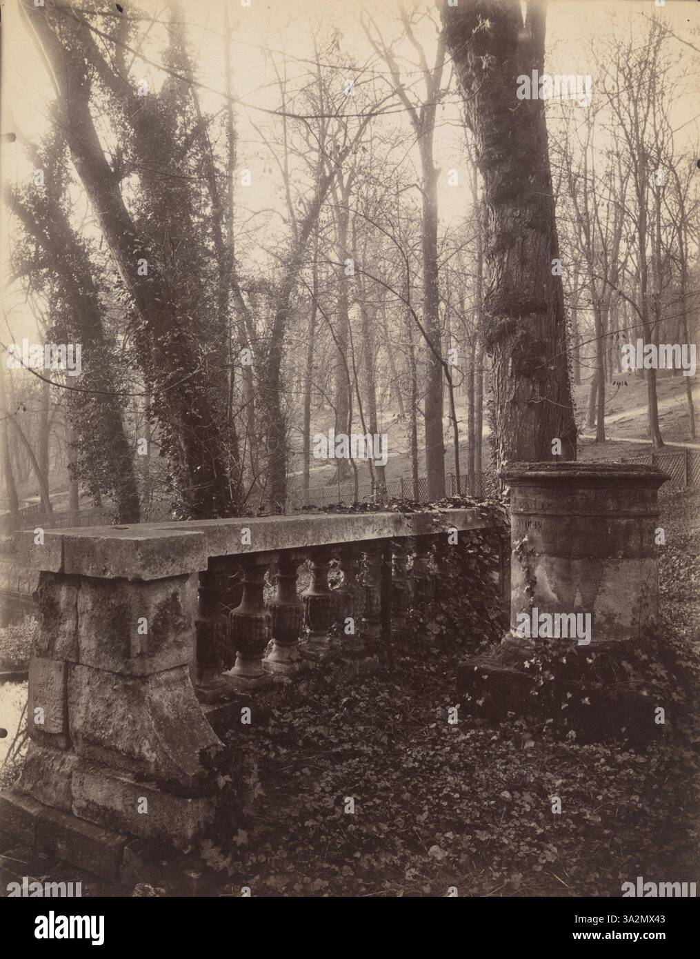 Eugène Atget’s 1924 image highlights the peaceful elements of Saint ...