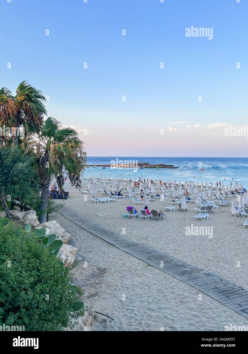 A serene beach scene in Protaras, Cyprus, featuring a palm tree and a ...