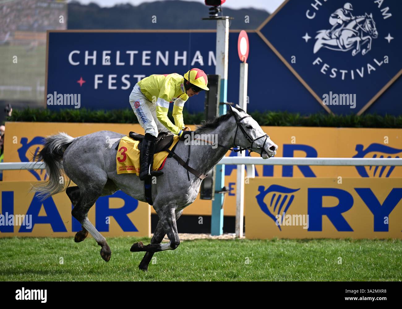 Caldwell potter horse hi-res stock photography and images - Alamy