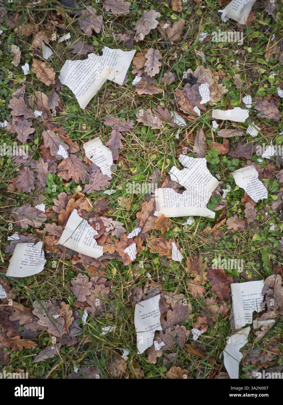 Pieces of pages of a book left on the ground in the grass and leaves ...