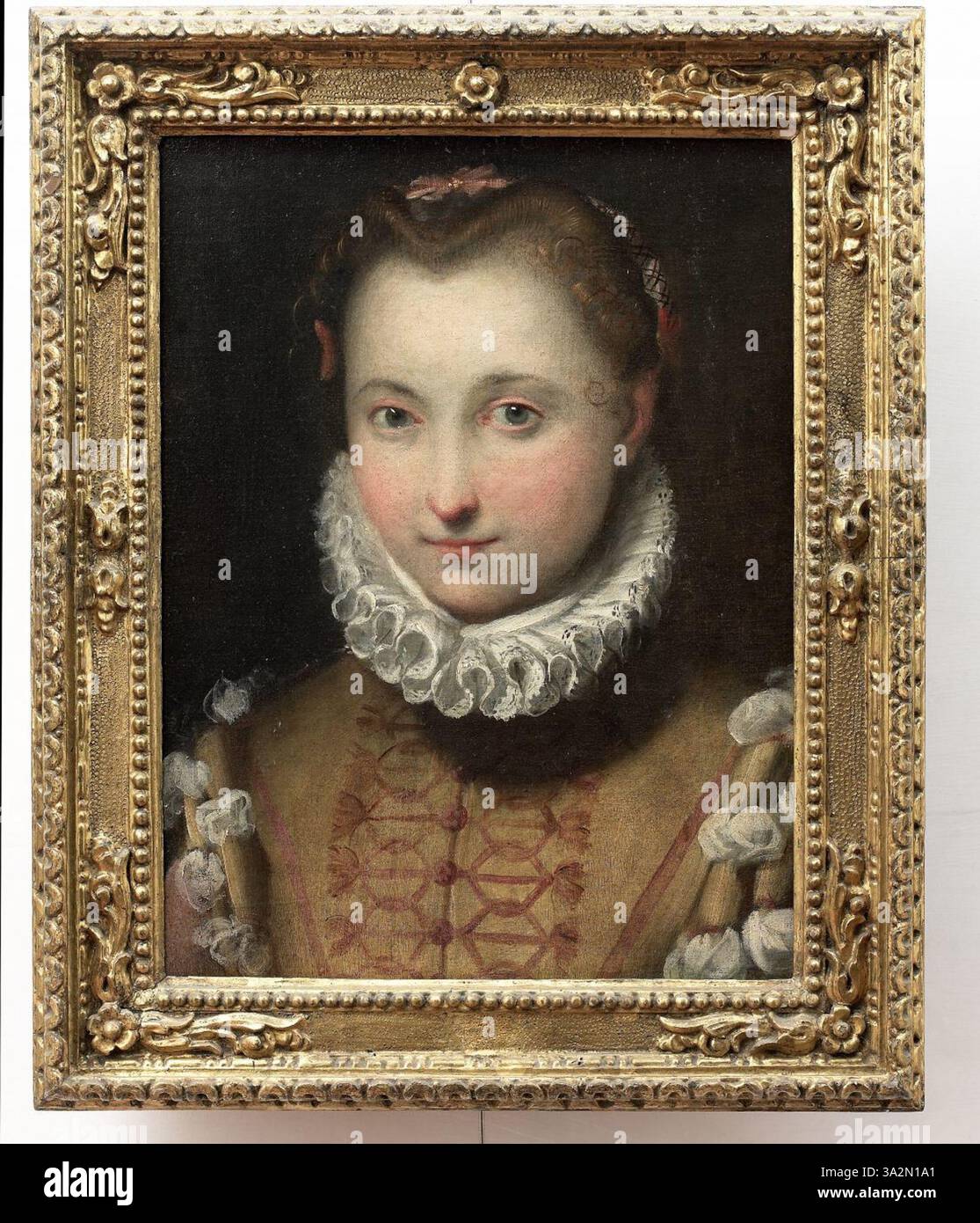 Lavinia della rovere hi-res stock photography and images - Alamy