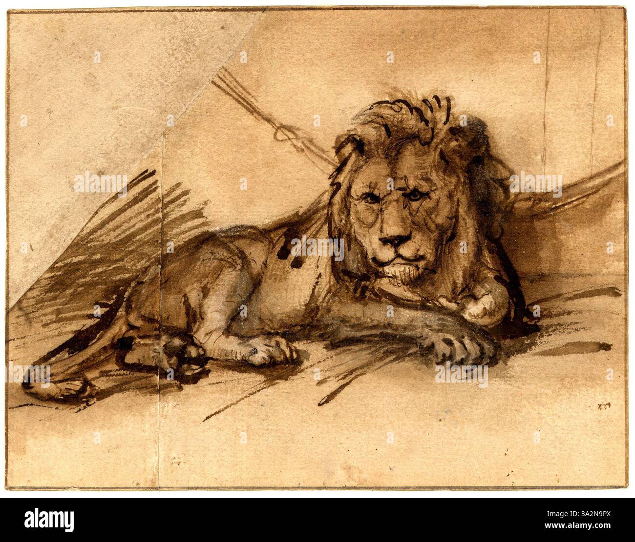 Detailed line work captures hi-res stock photography and images - Alamy