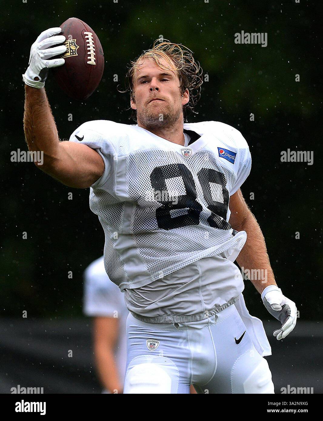 July 31, 2014 - Spartanburg, South Carolina, U.S.- Carolina Panthers ...