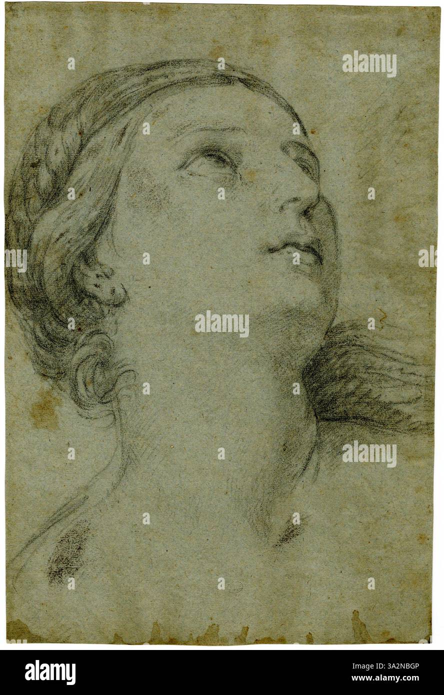 Facial expression realism Cut Out Stock Images & Pictures - Alamy