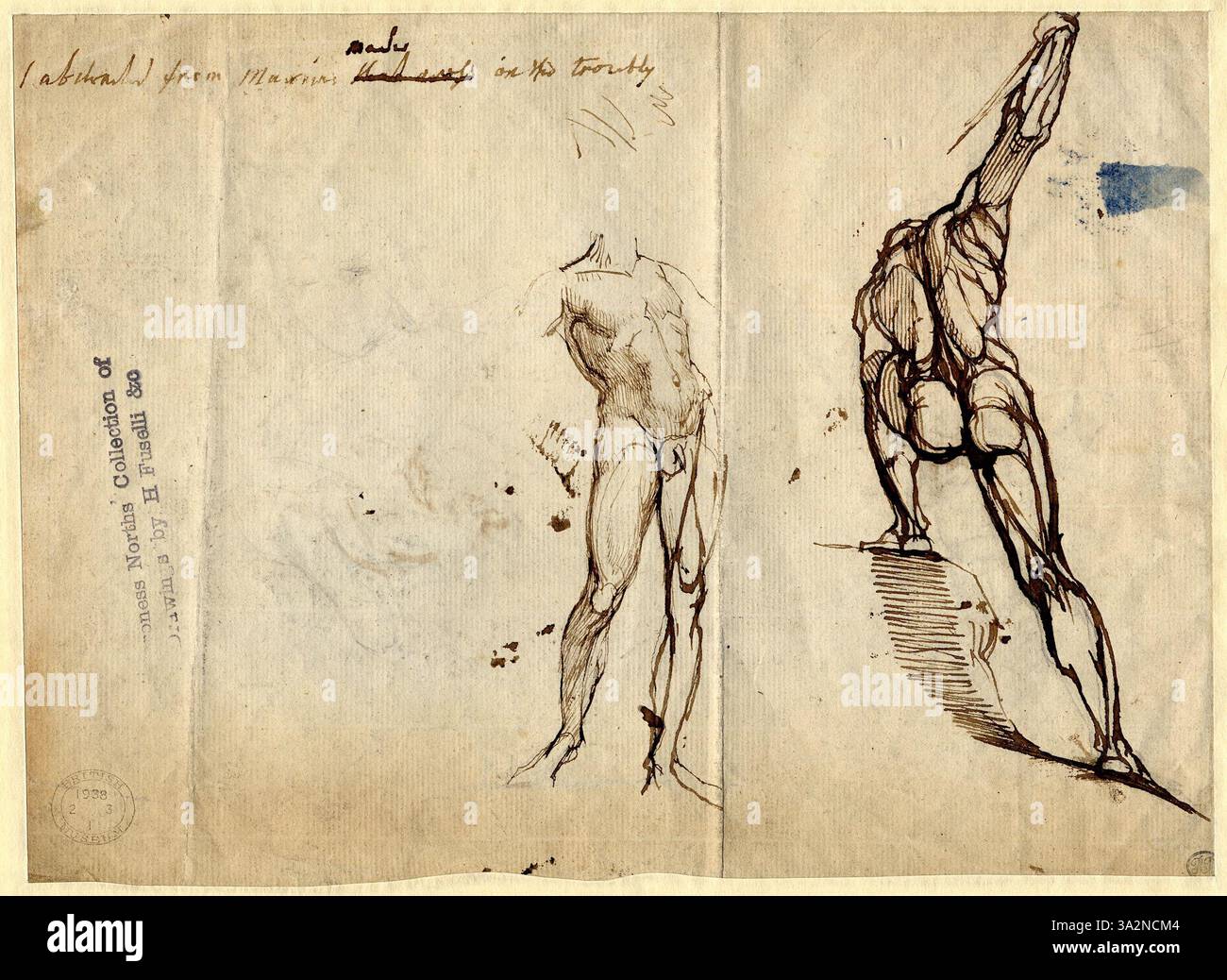This verso drawing shows a male figure in a reversed position, poised ...