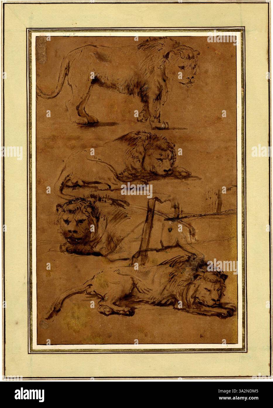 This etching includes four studies of lions, three of which are lying ...