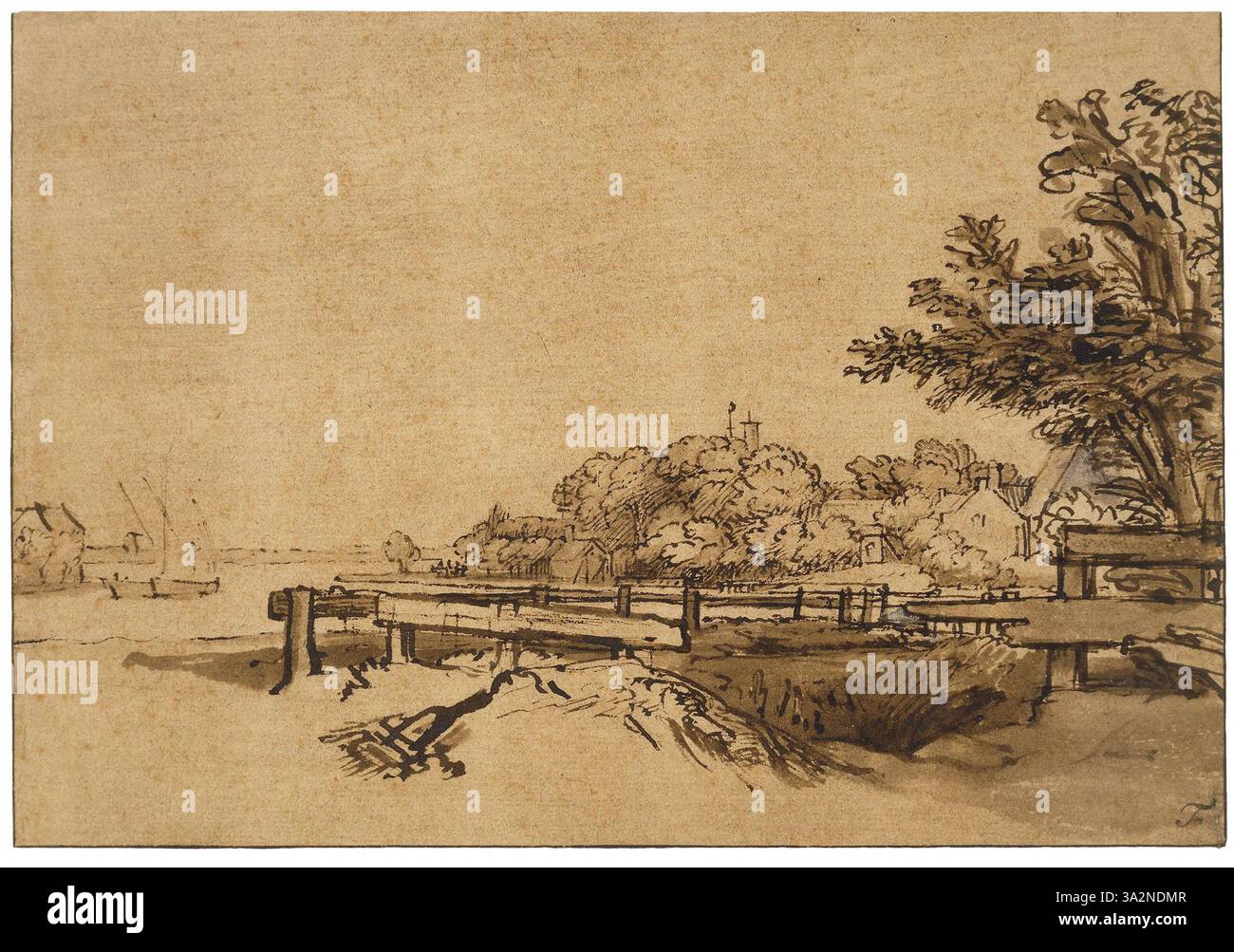 Detailed foreground Cut Out Stock Images & Pictures - Alamy