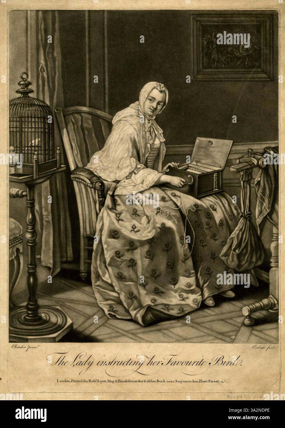 The lady instructing her favourite bird hi-res stock photography and ...