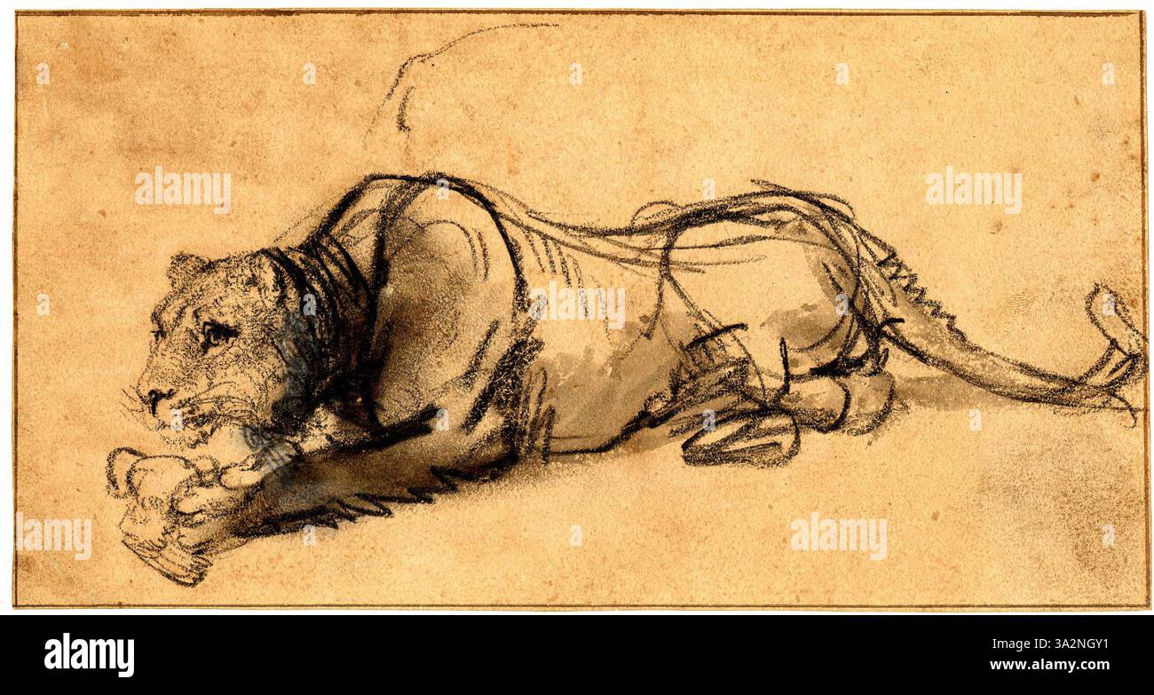 Rembrandt’s etching captures a lioness devouring a bird in a moment of ...