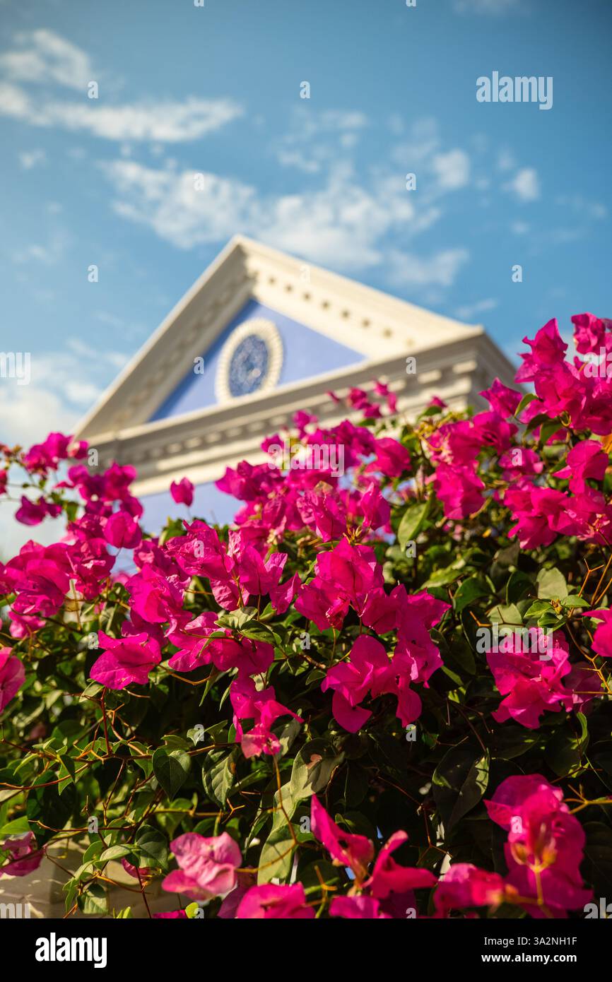Blooming flowers in front of a beautiful villa on Curacao, tropical ...